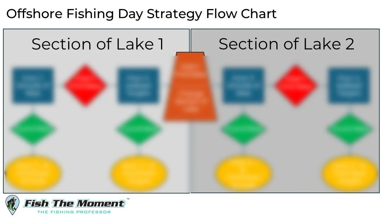 Digital Guides — Fish the Moment
