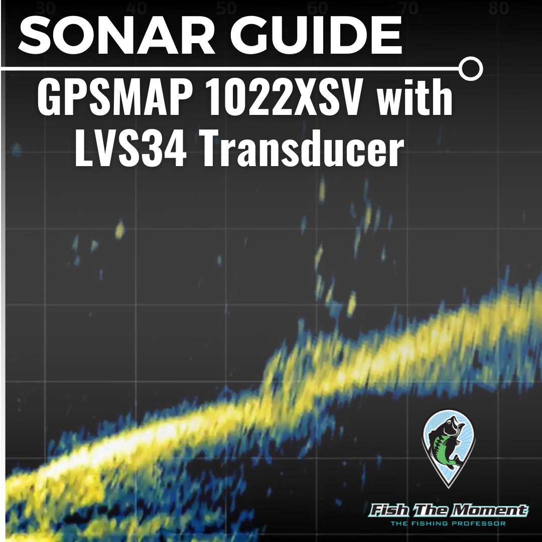 Sonar Guides — Fish the Moment