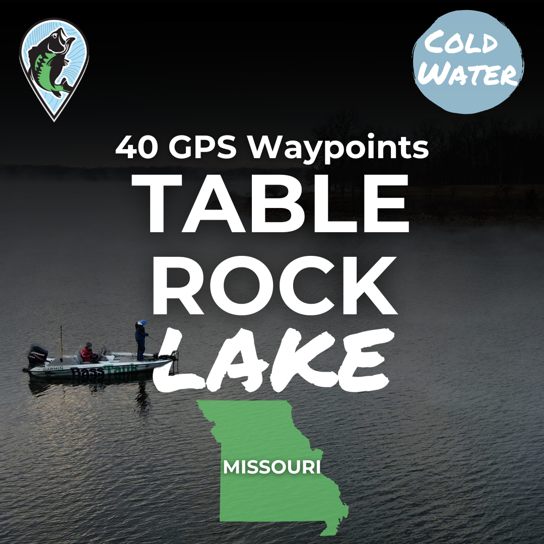 Live Sonar Breakdowns — Fish the Moment