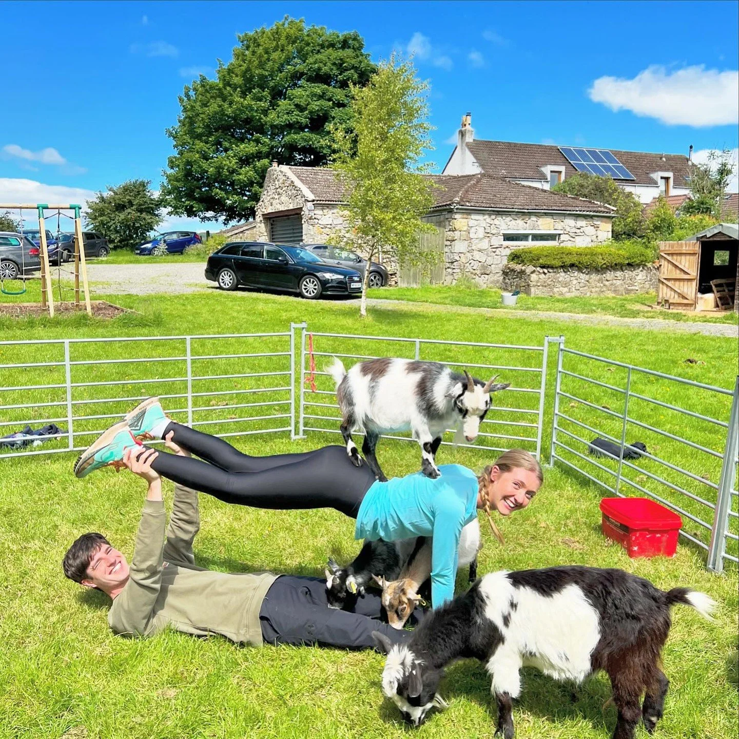 Pygmy Goat Pilates — Pilates Attic