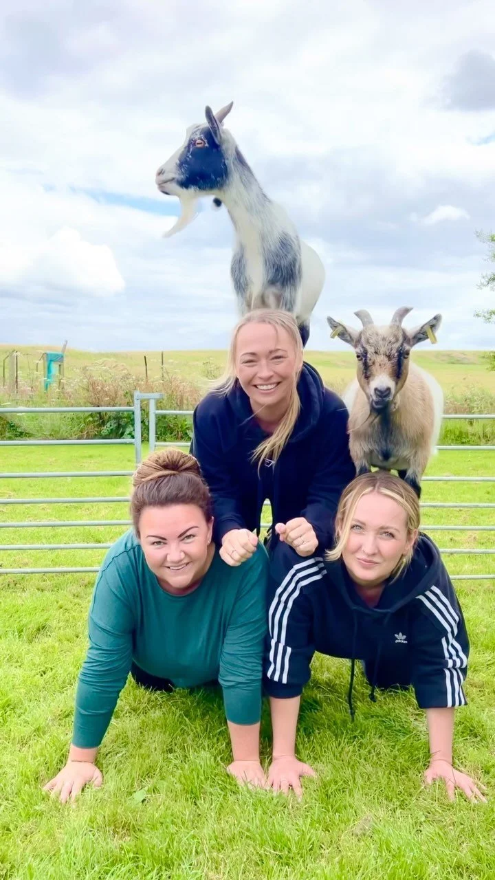 Pygmy Goat Pilates — Pilates Attic