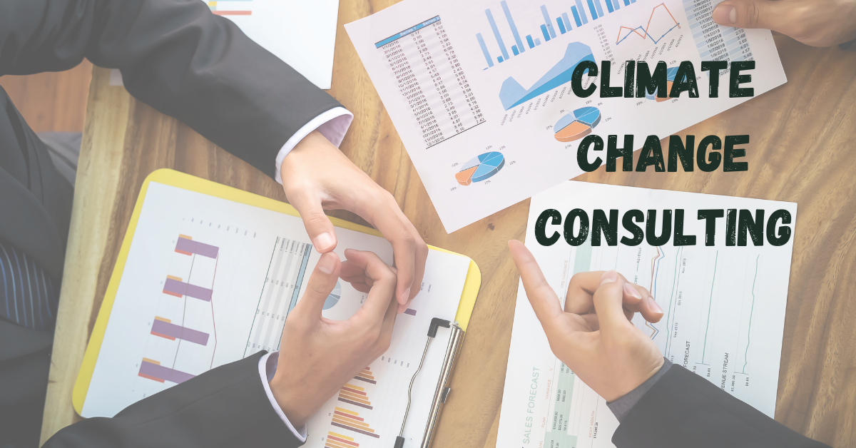 Sustainability Blogs