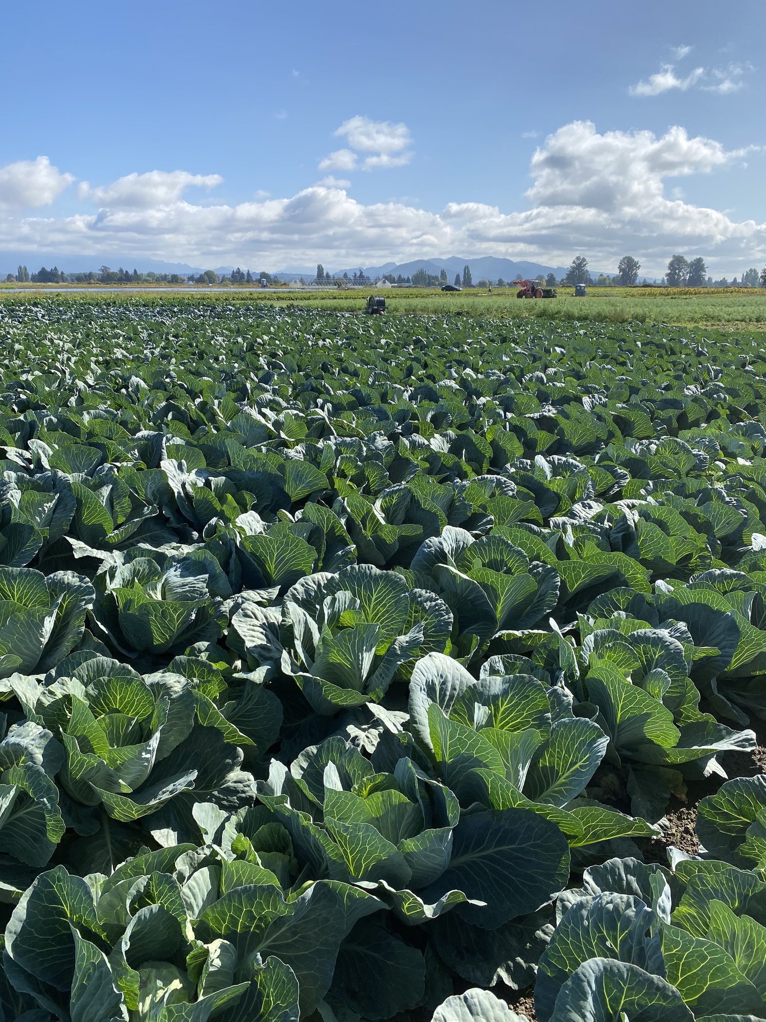 find our products — The Crows Farm