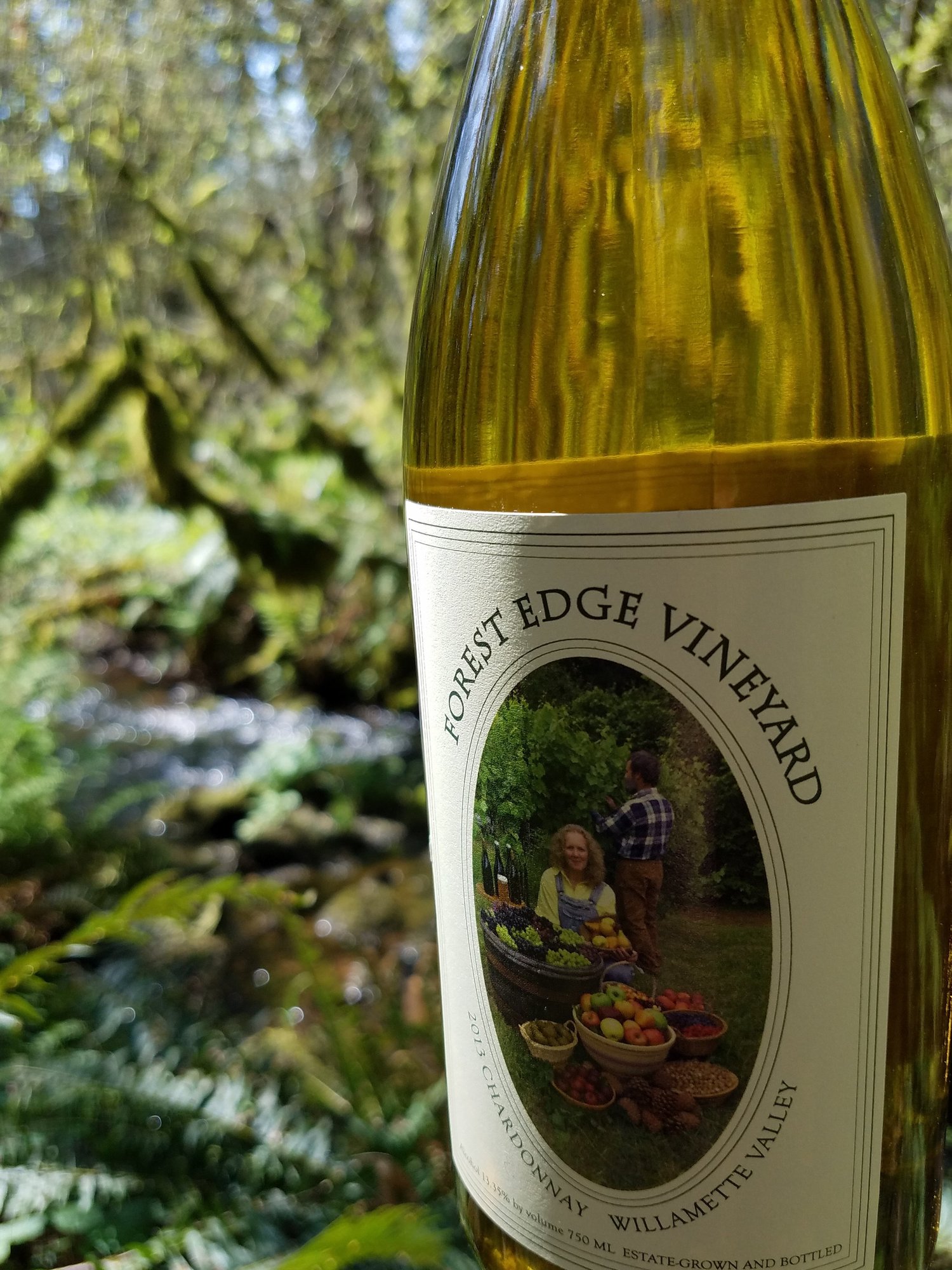 Tasting Room — Forest Edge Vineyard