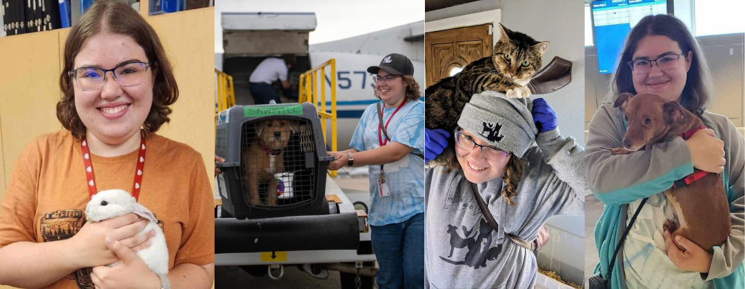 Serena-A Tribute — Lake Lowell Animal Rescue