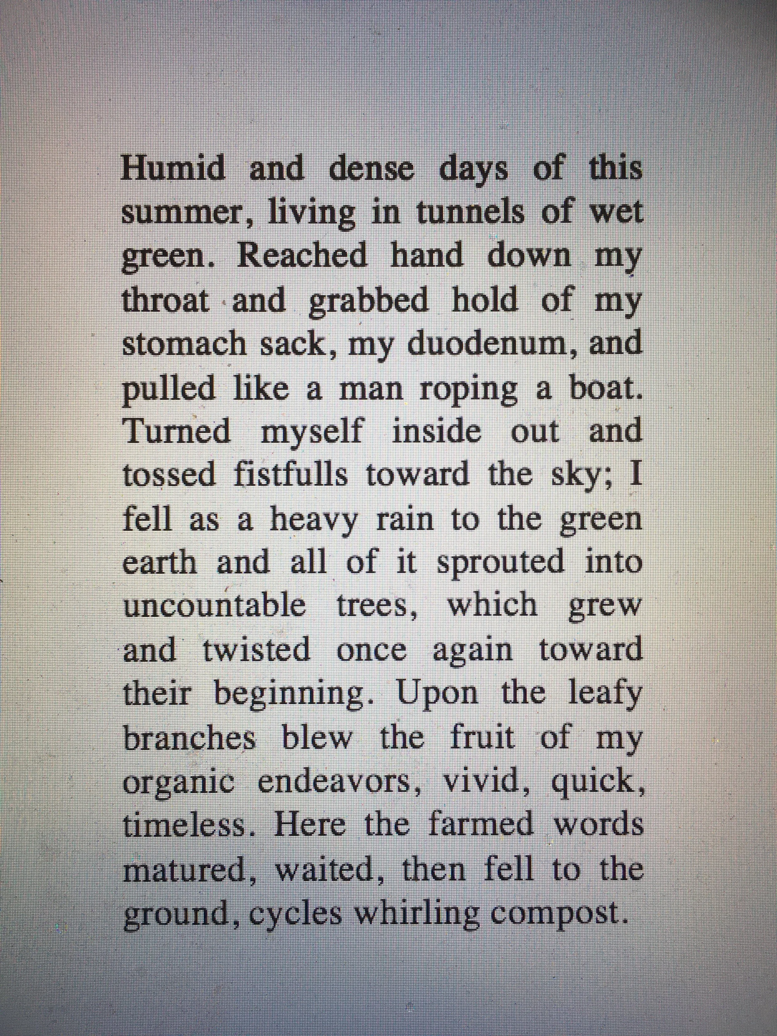 Window Poems - 100 words - Visions beyond the frame — bv knapp