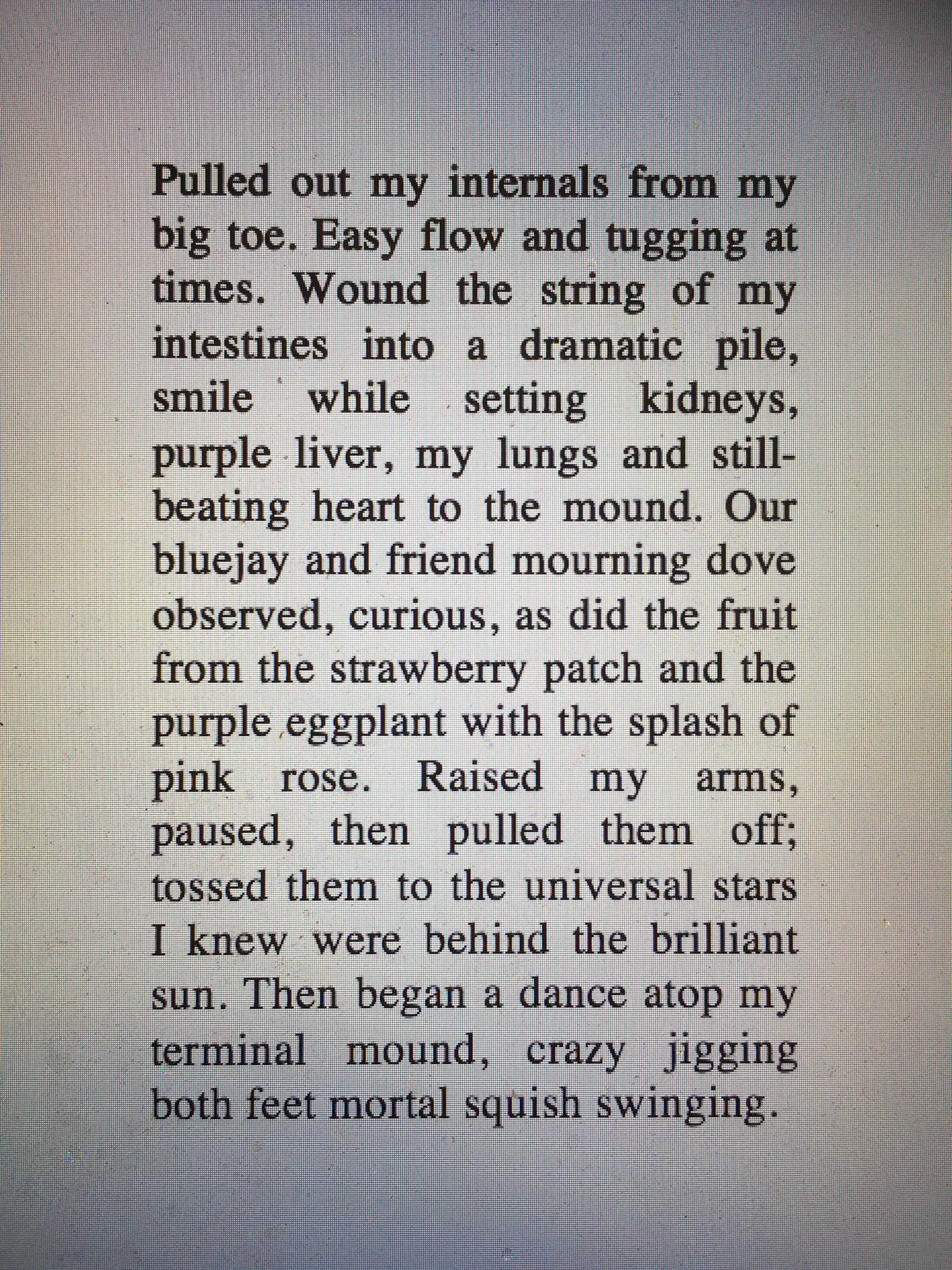 Window Poems - 100 words - Visions beyond the frame — bv knapp