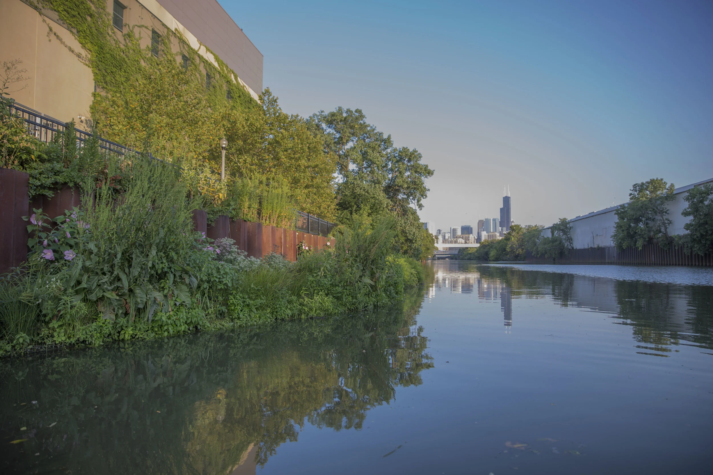 The Wild Mile Chicago