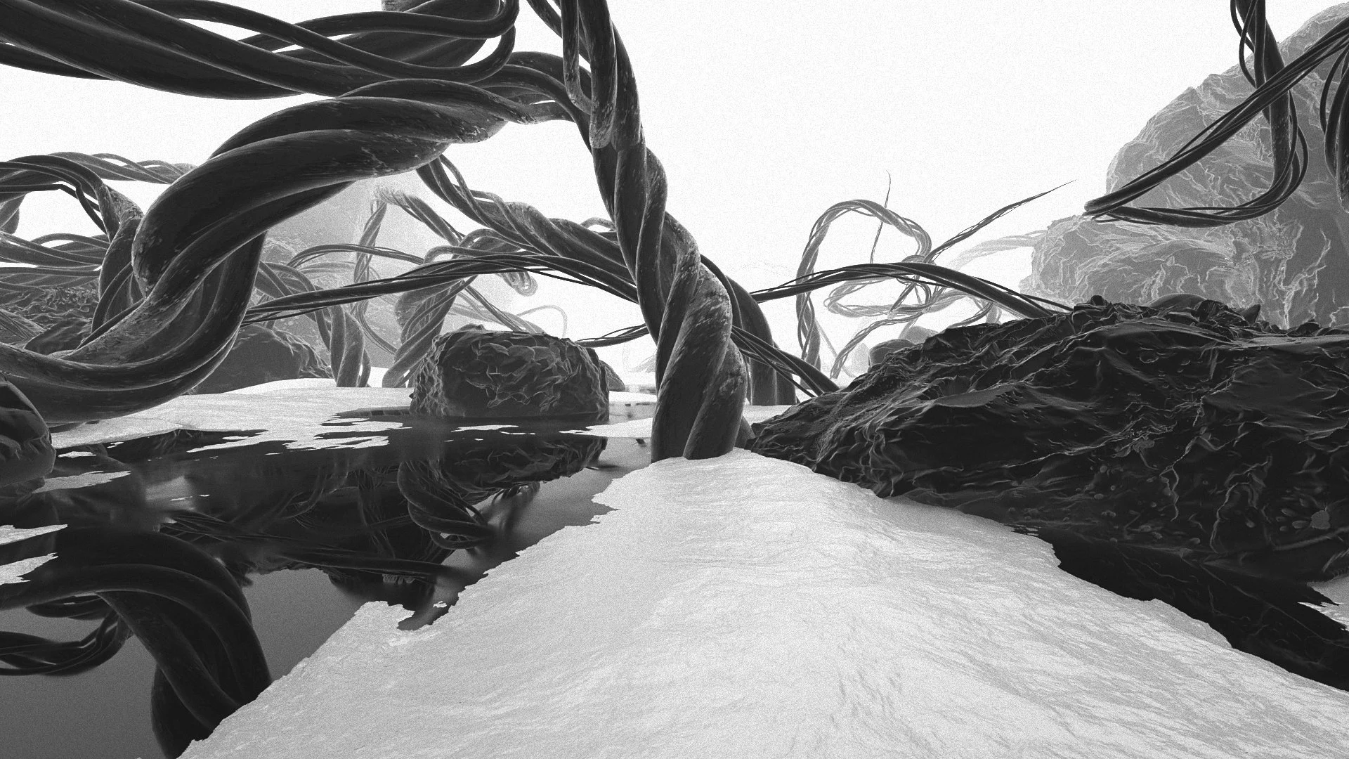 Wonderspaces | Experience Extraordinary Art in Austin, TX