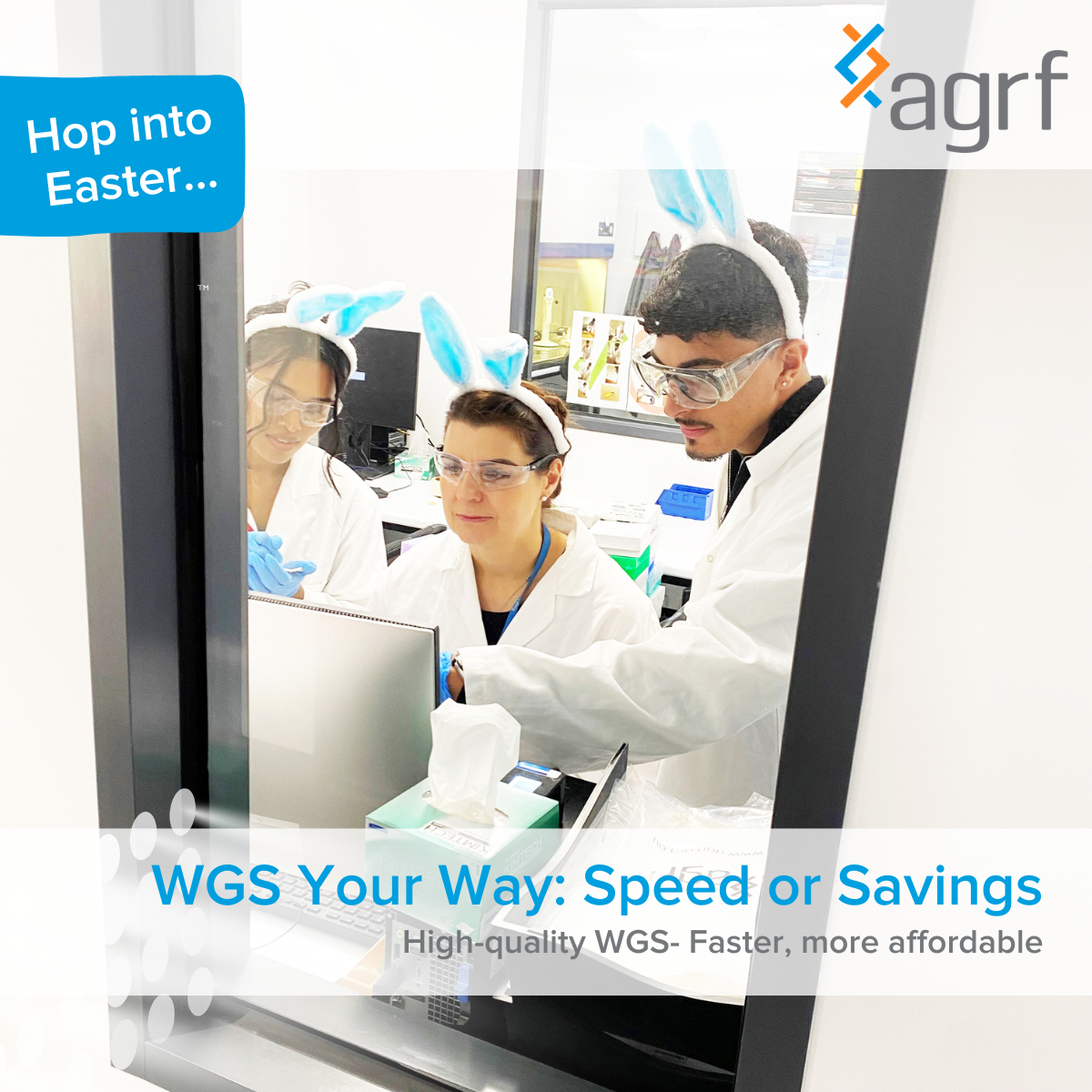 Current Promotions — AGRF