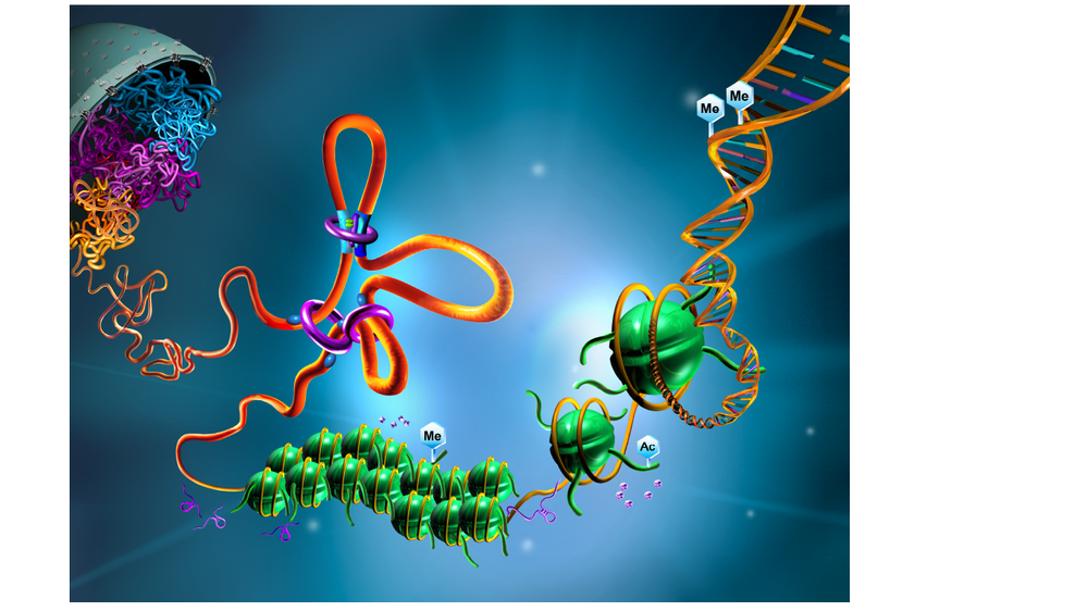 Advanced Genomics — AGRF