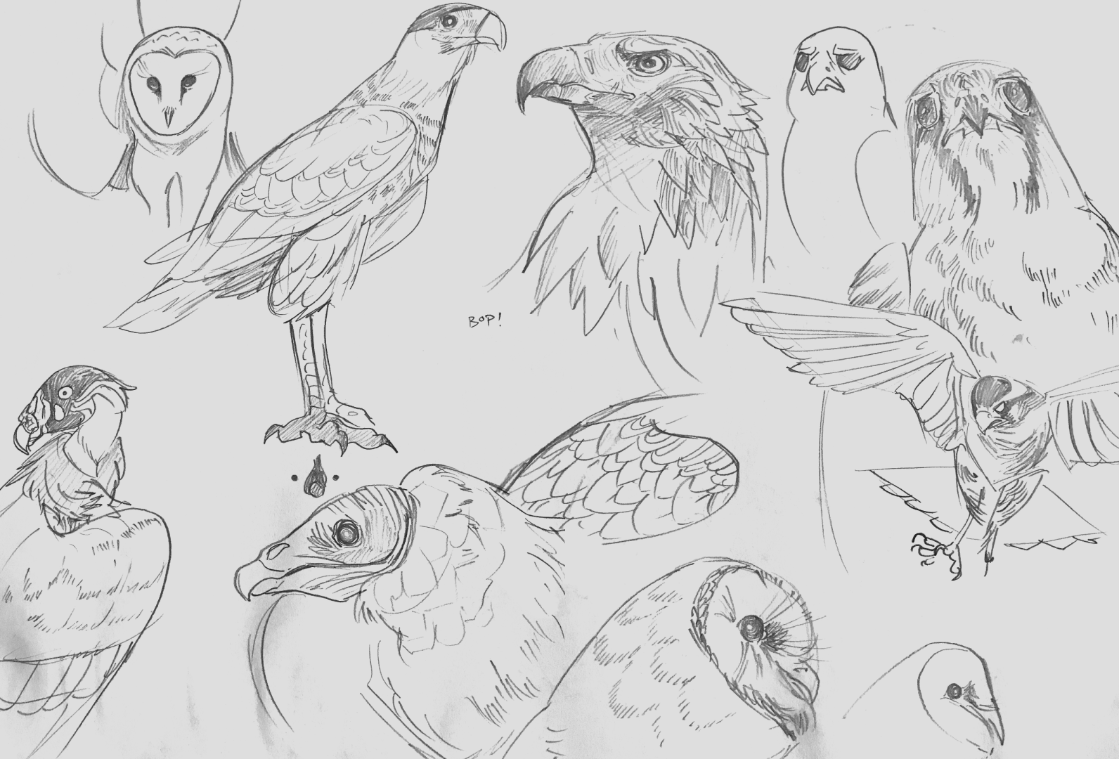 FOUNDATIONS & SKETCHBOOK — Connor Meldrum