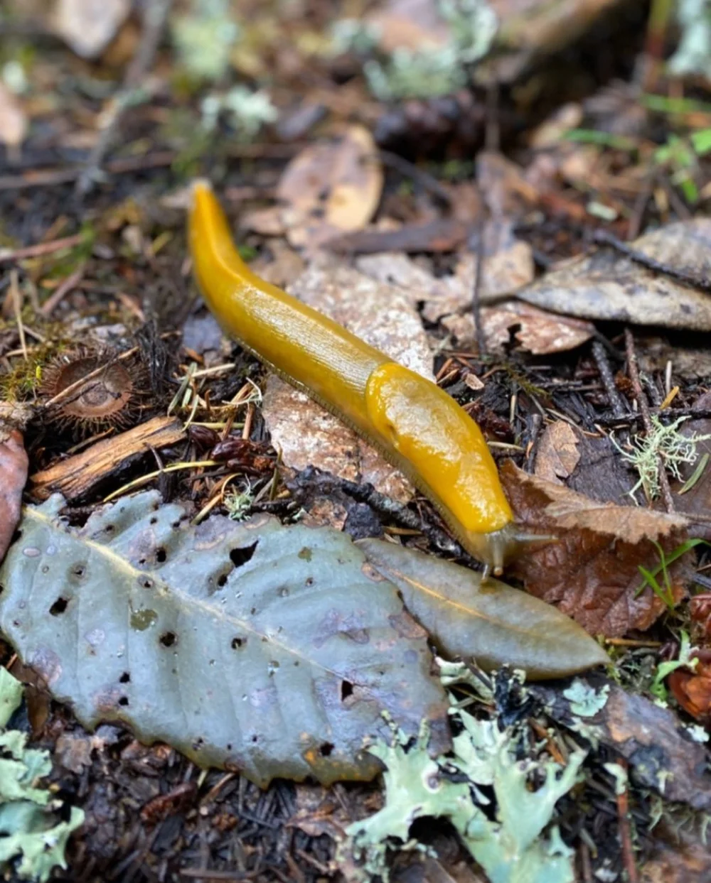 SF Bay Area Spring Bucket List — Bay Area Moms