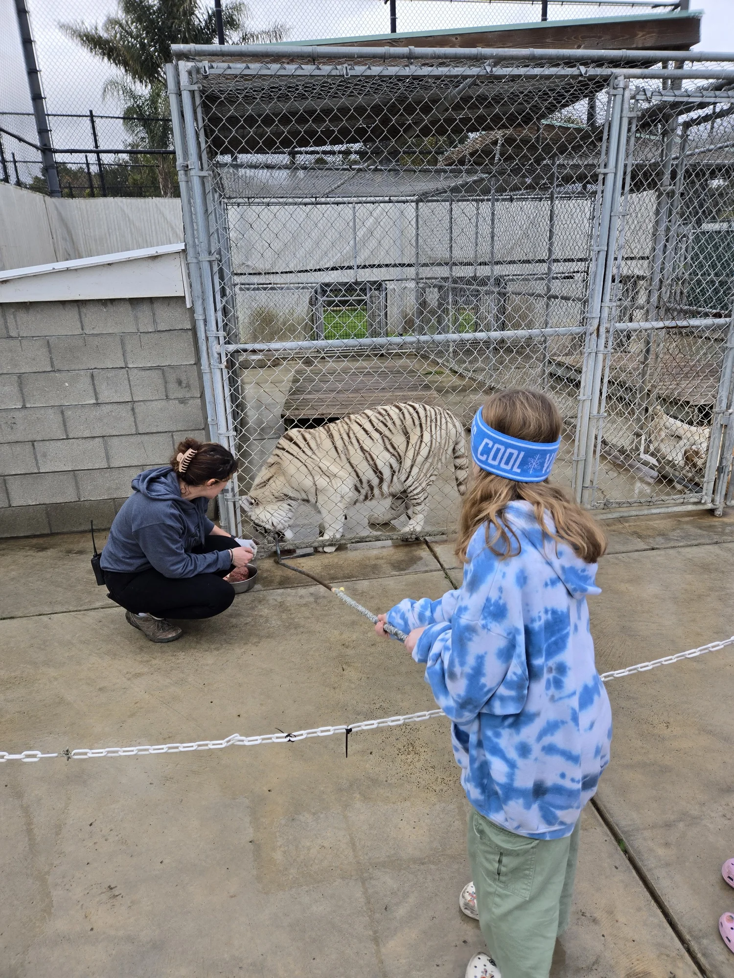 Monterey Zoo & Vision Quest Safari Bed & Breakfast in Salinas ...