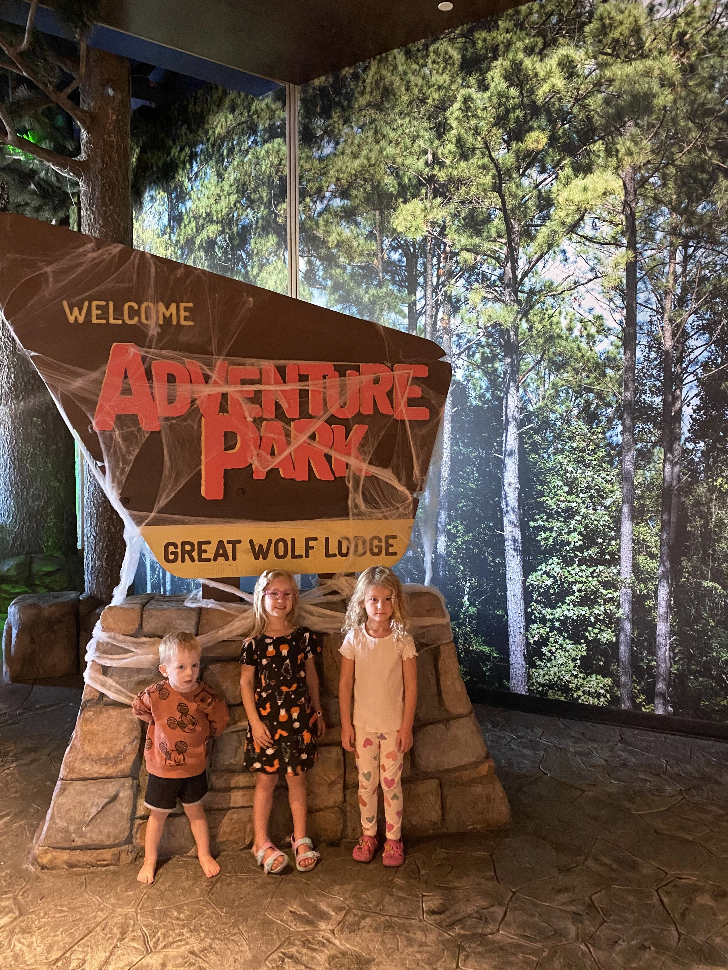 Great Wolf Lodge Rooms Kids