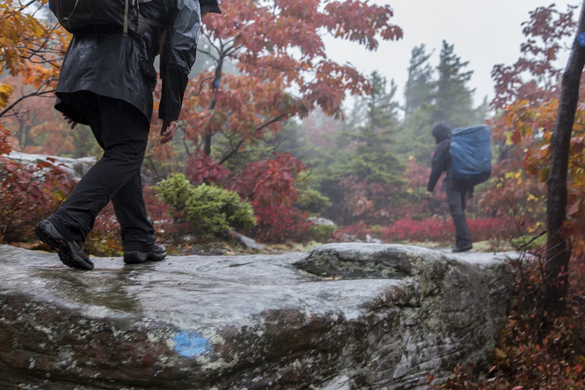 Hike the Escarpment Trail To View The Best In Fall Foliage — And North