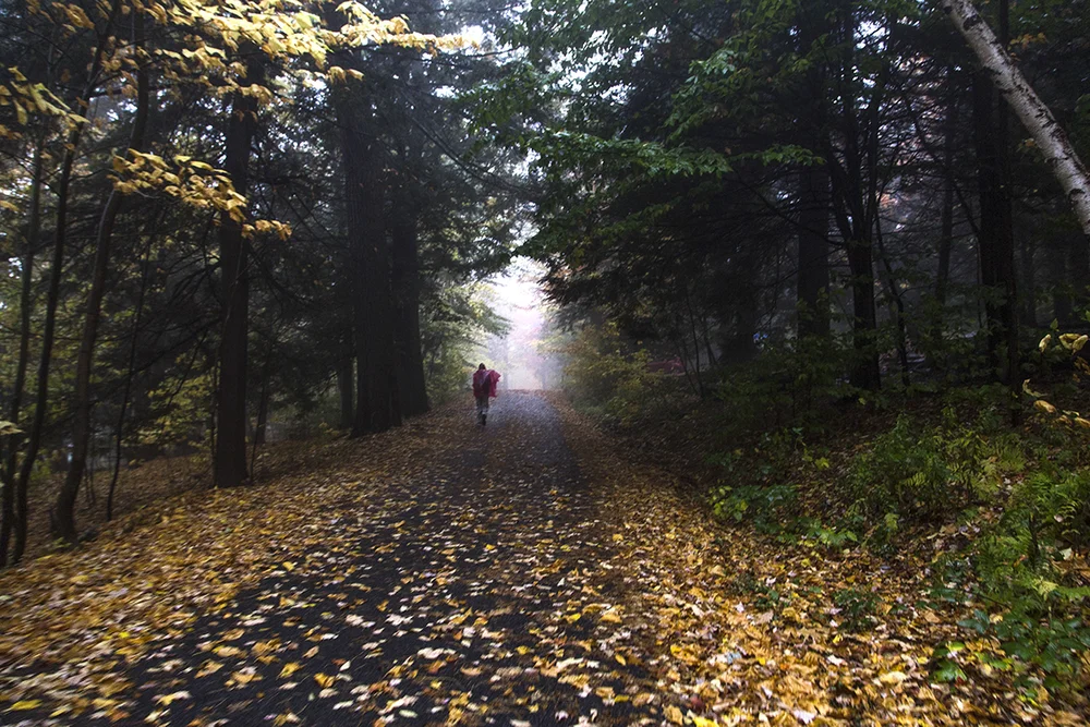 Hike the Escarpment Trail To View The Best In Fall Foliage — And North