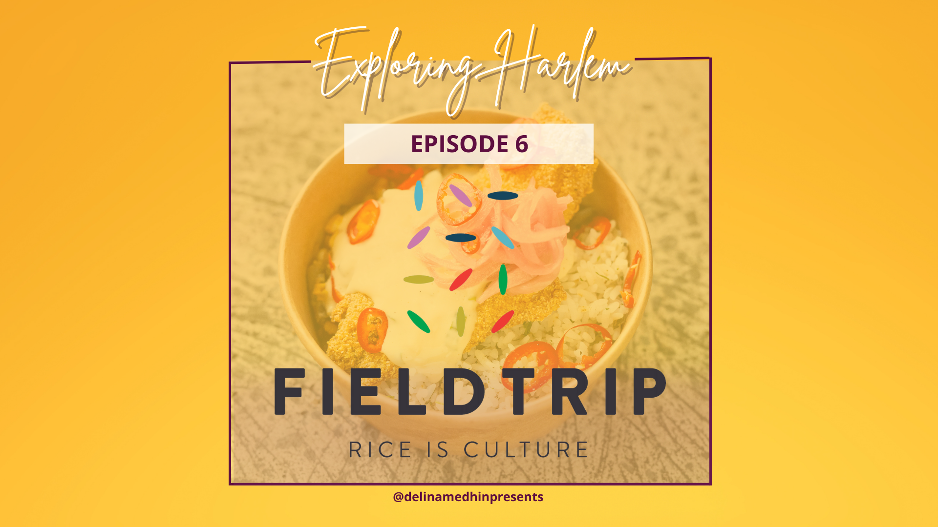 Exploring Harlem Series — Delina Medhin