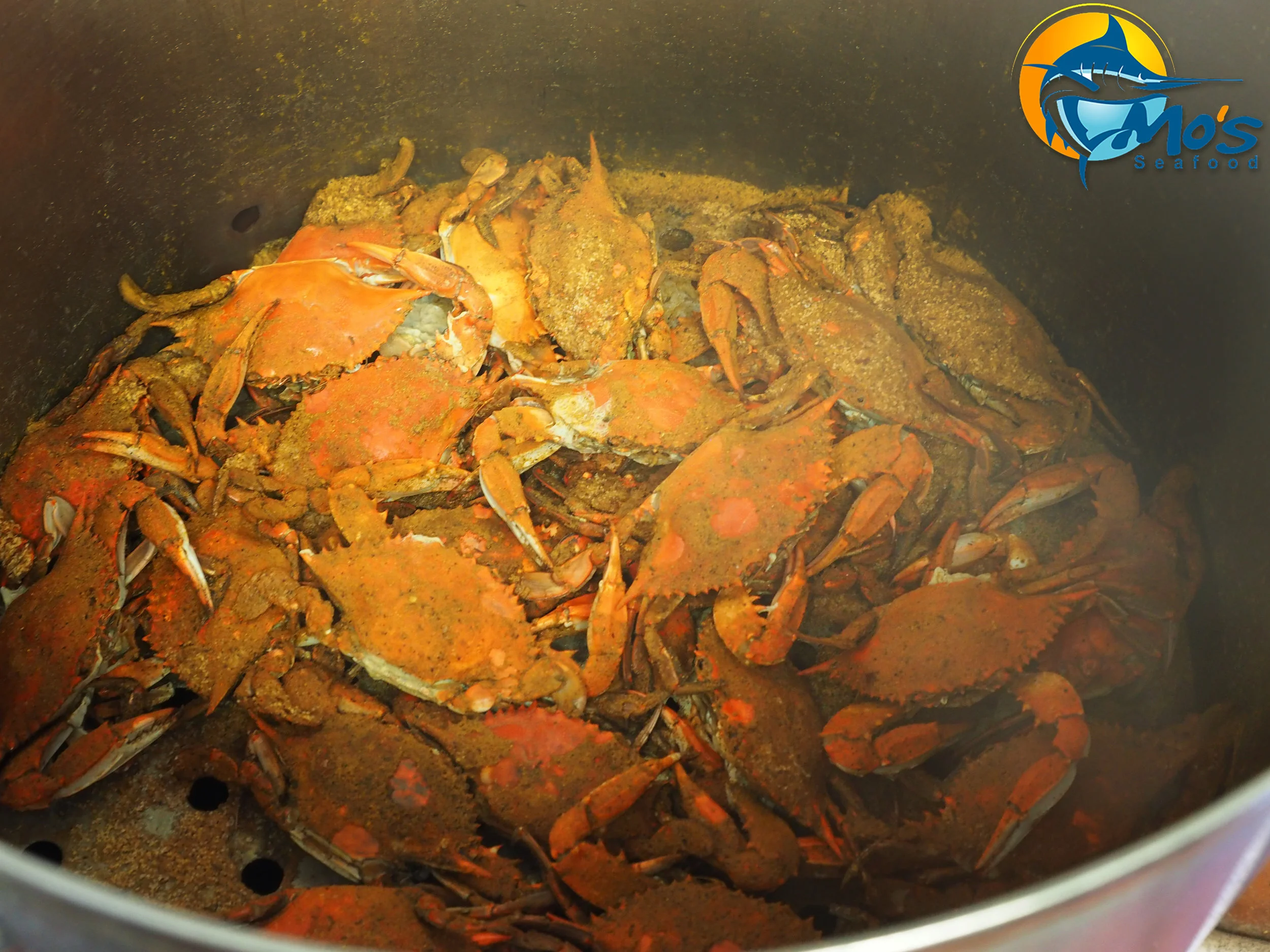 Photography — Mo's Seafood