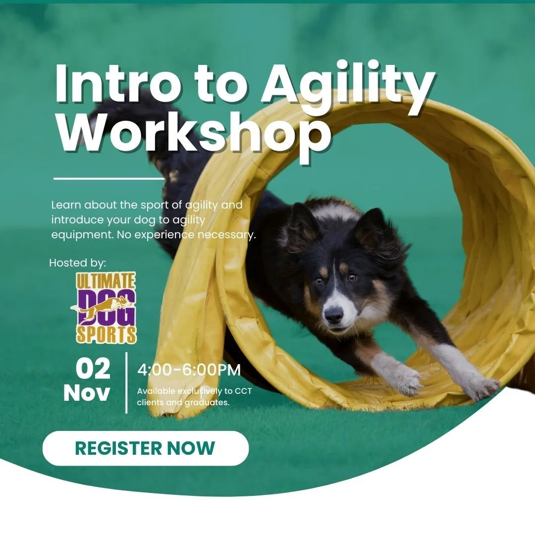 Events and Workshops — Complete Canine Training