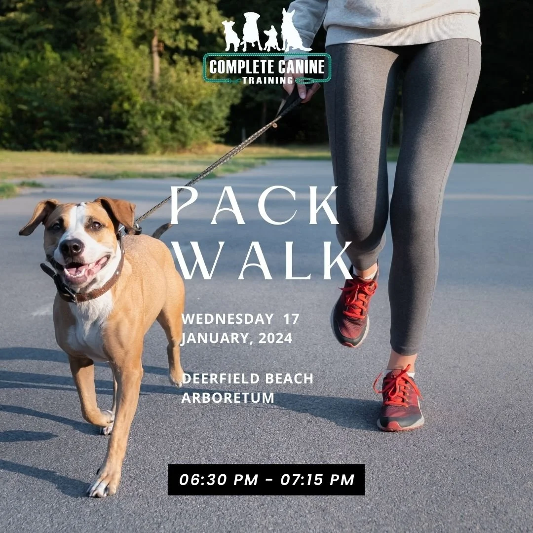 Complete Canine Training