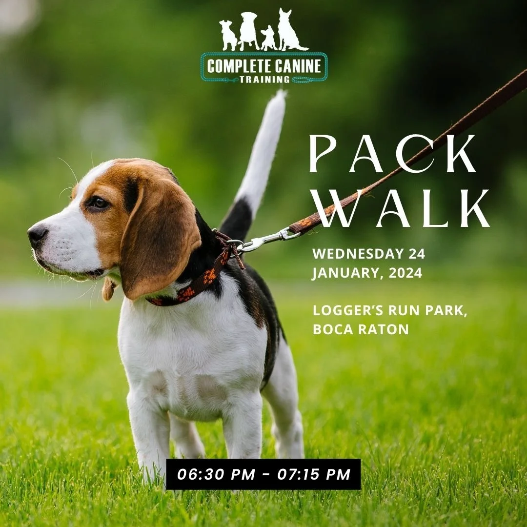 Complete Canine Training