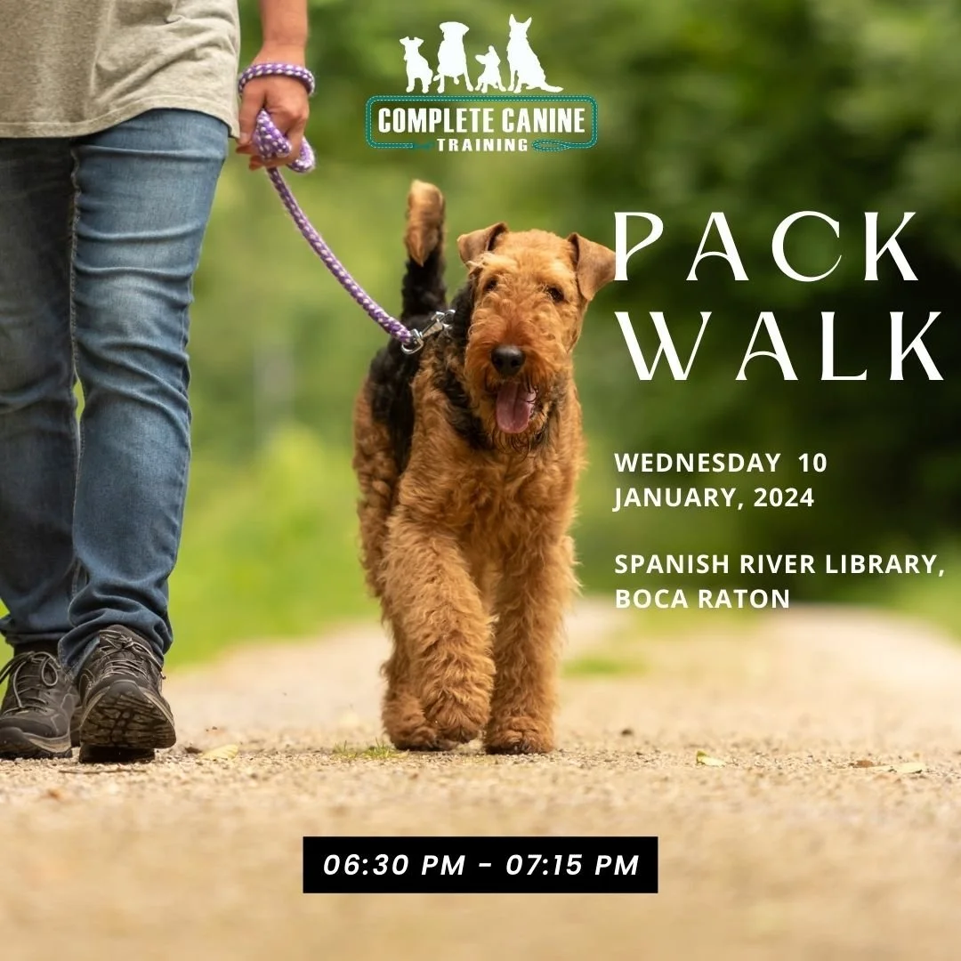 Complete Canine Training