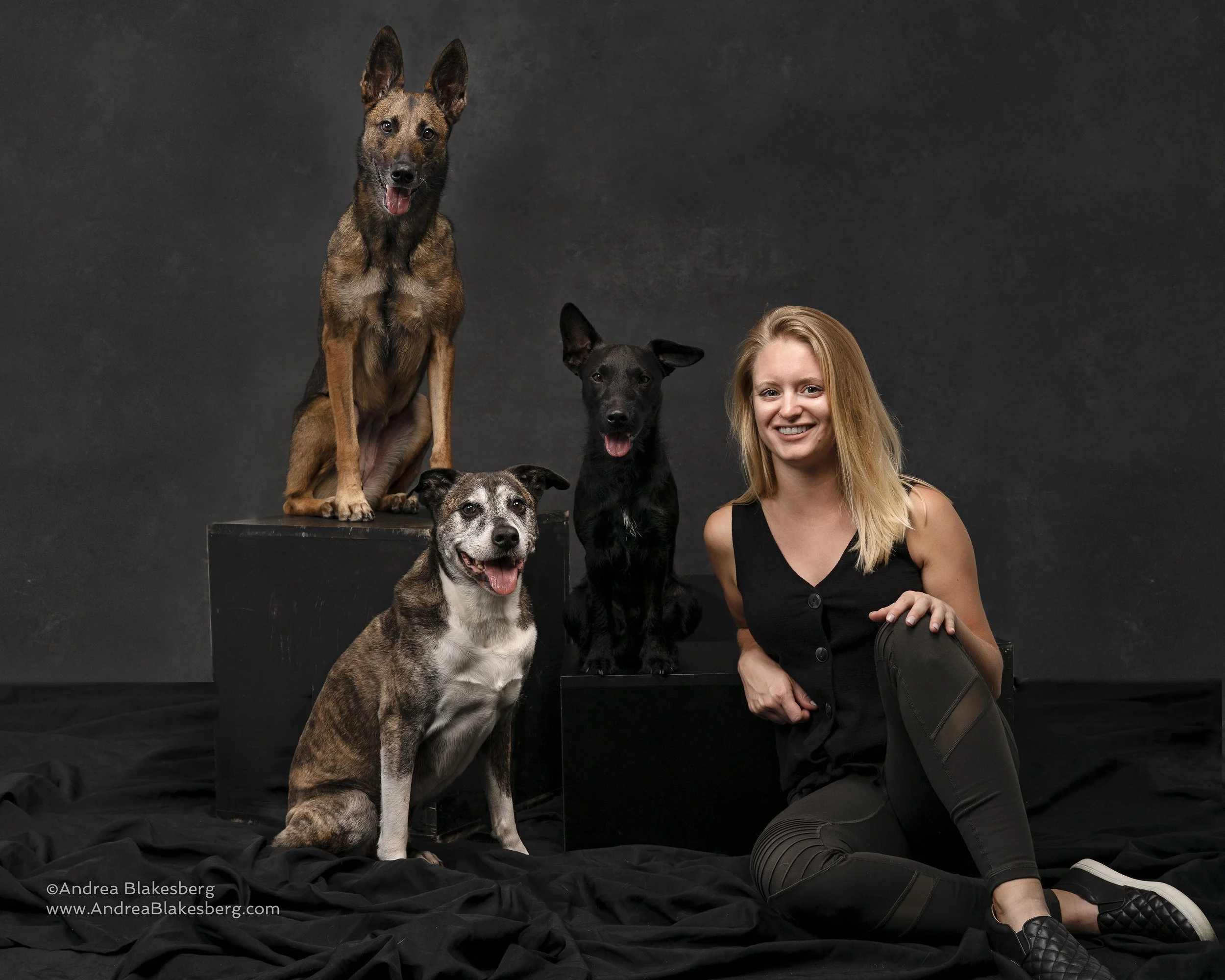 Complete Canine Dog Training: Your Trusted Partner in Dog Behavior ...