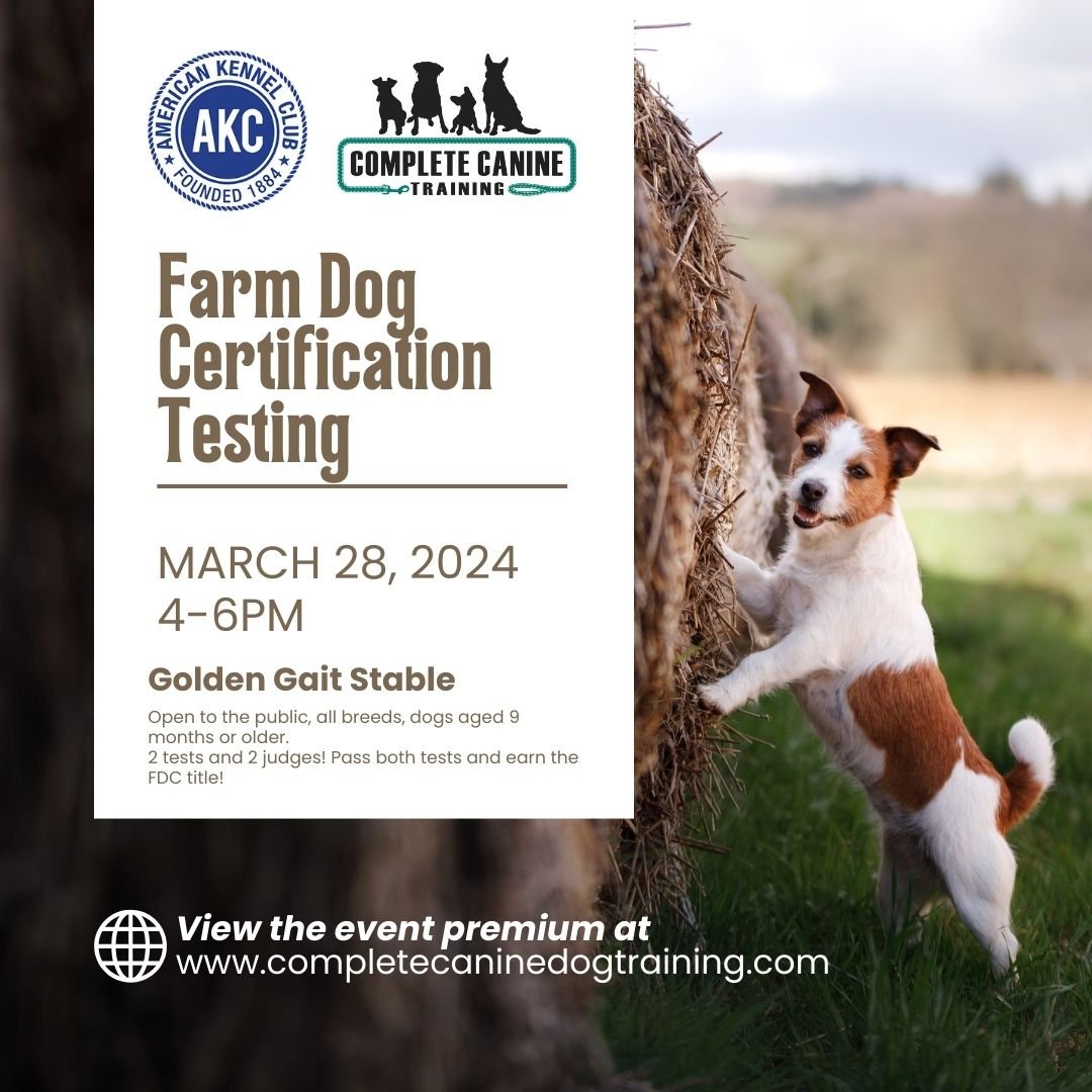 AKC Farm Dog Certification Testing — Complete Canine Training