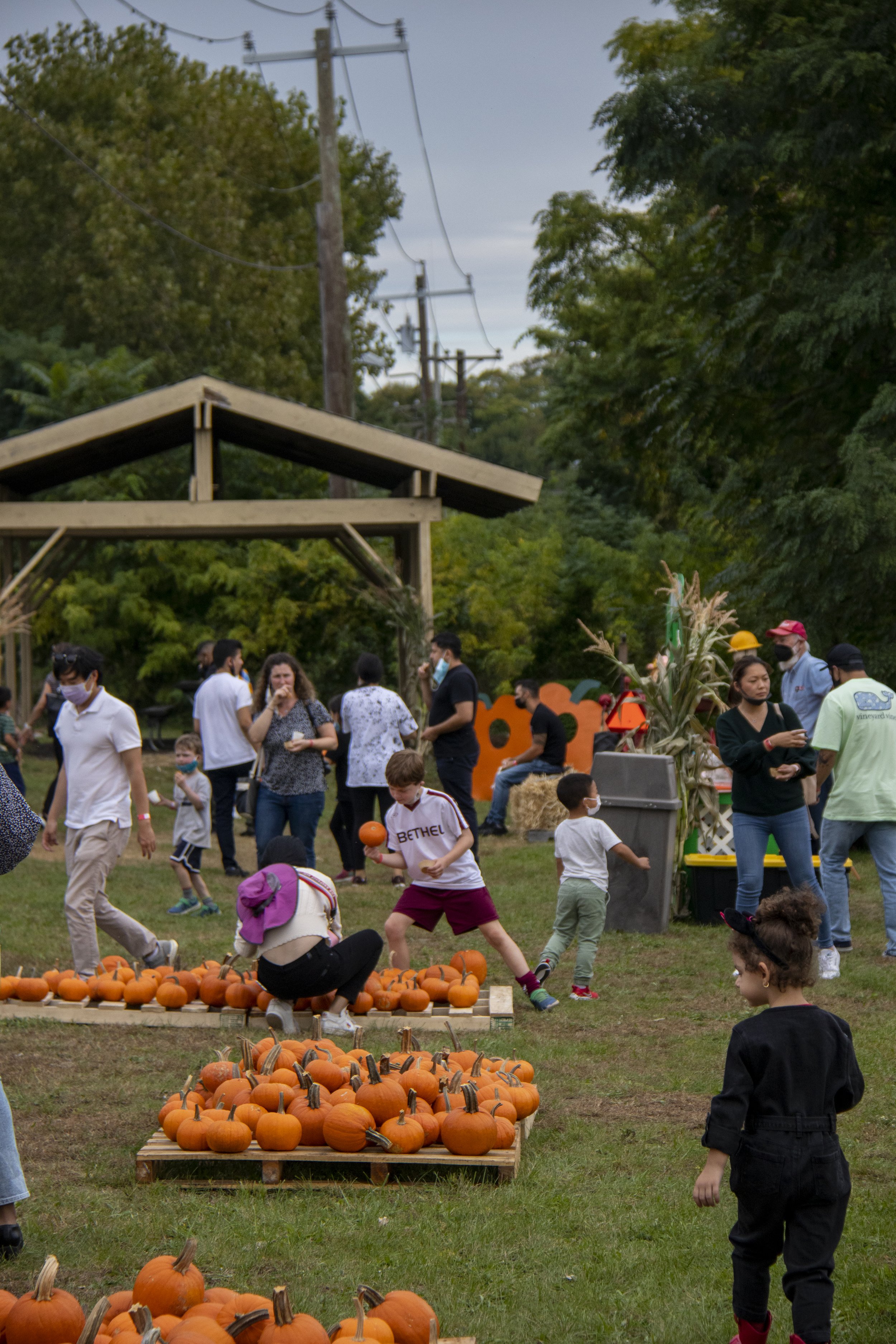 Pumpkin Patch Trains — Danbury Railway Museum