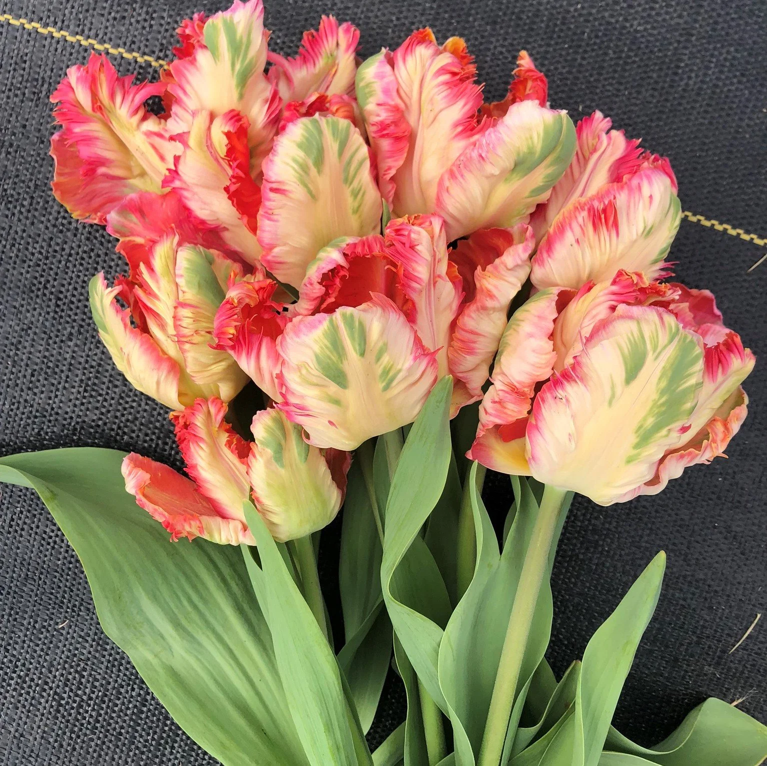 Flower CSA (Bouquet Subscriptions) — Sweet Soil Farm