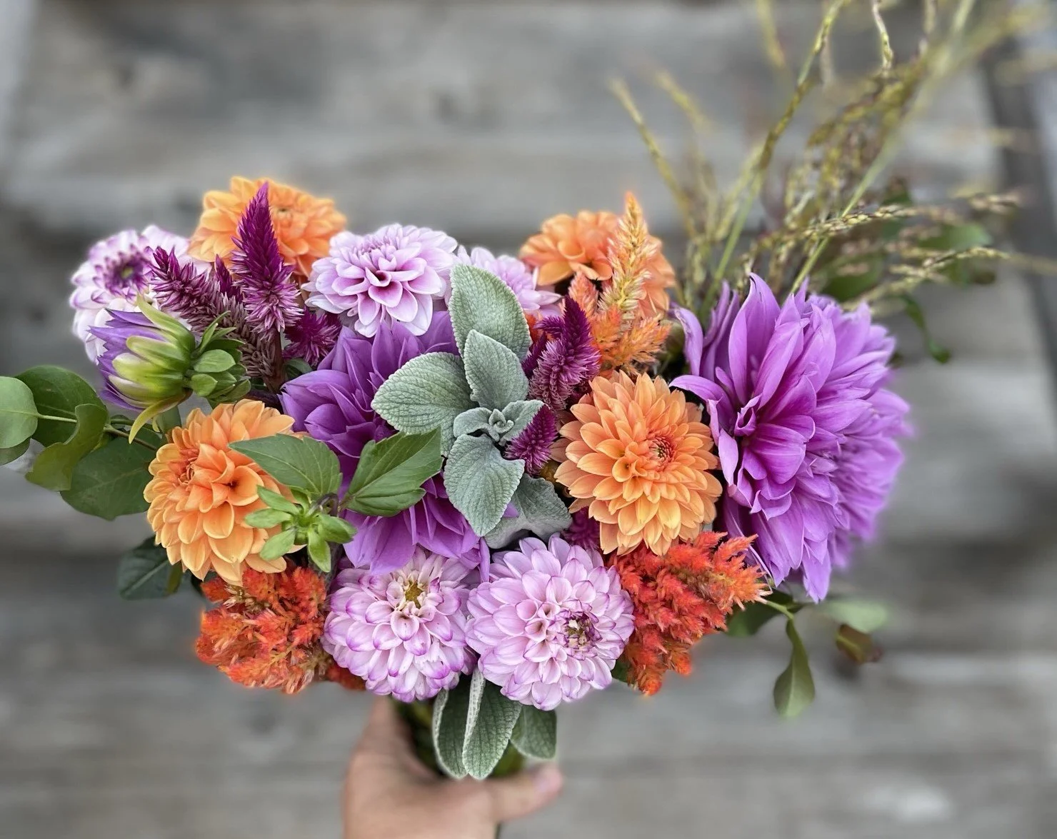 Flower CSA (Bouquet Subscriptions) — Sweet Soil Farm
