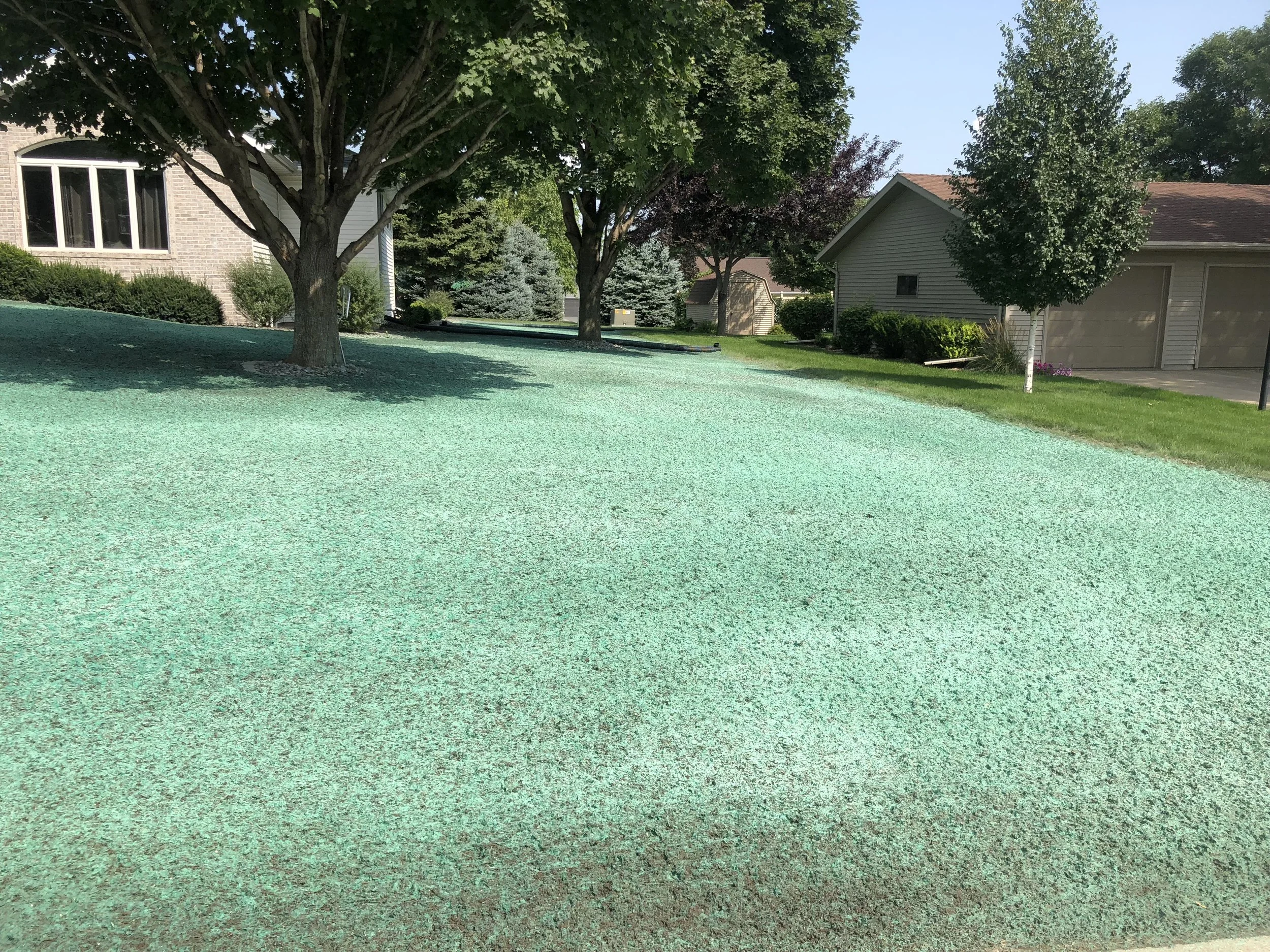 Seeding & Sod — Van Holland Lawn Service
