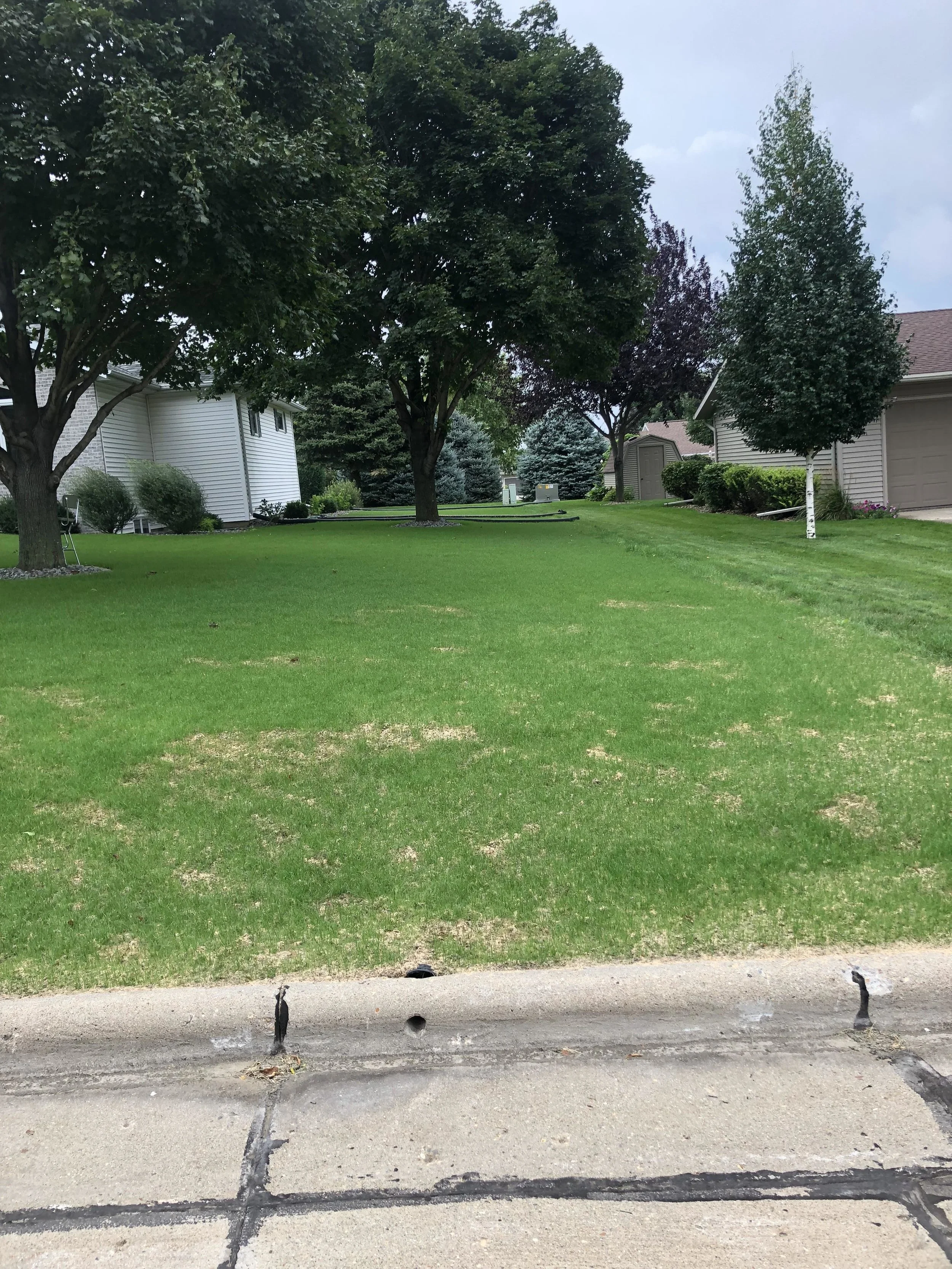 Seeding & Sod — Van Holland Lawn Service