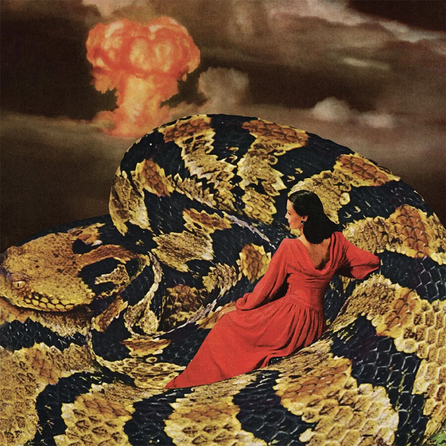 Tyler Varsell | Collage artist and illustrator