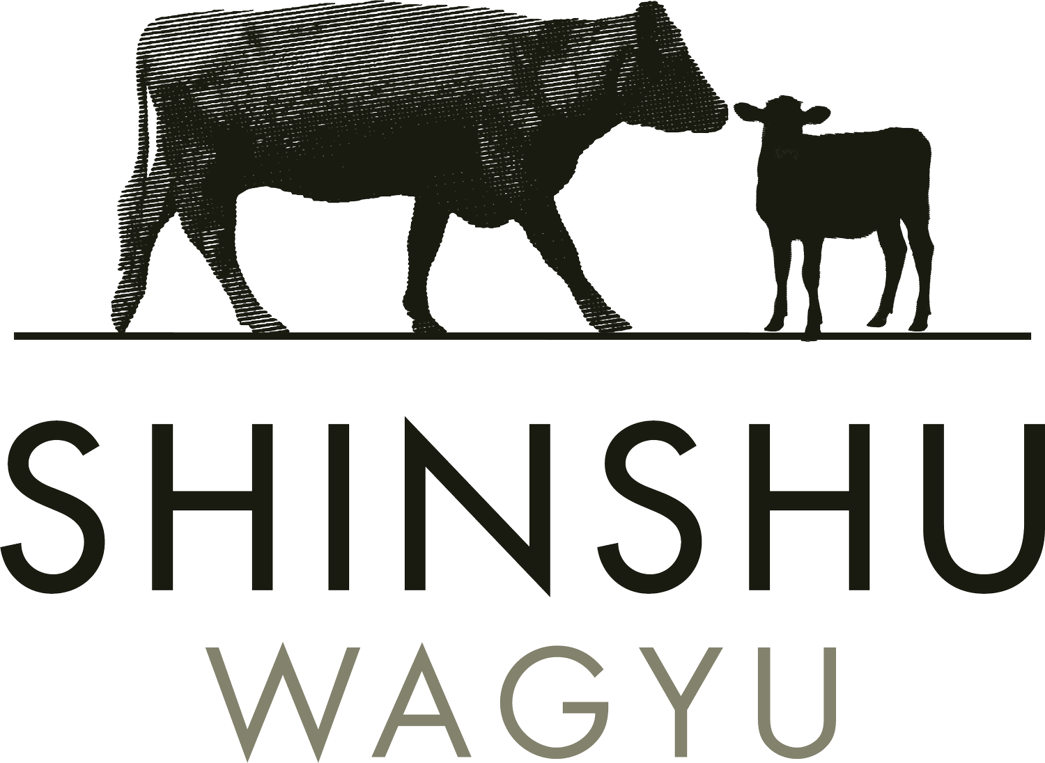 Shinshu Wagyu