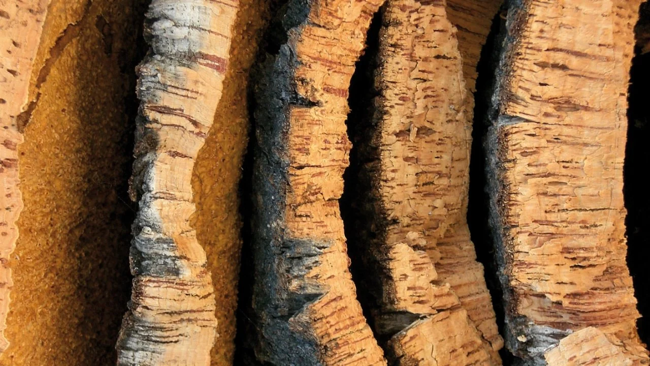 Sobreiro Collection - Cork Wall Tiles - Sustainable Wall Coverings ...