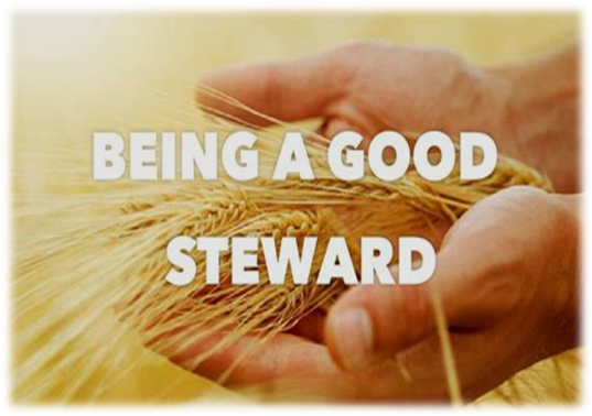 Pastor's Corner — Trinity Missionary Baptist Church