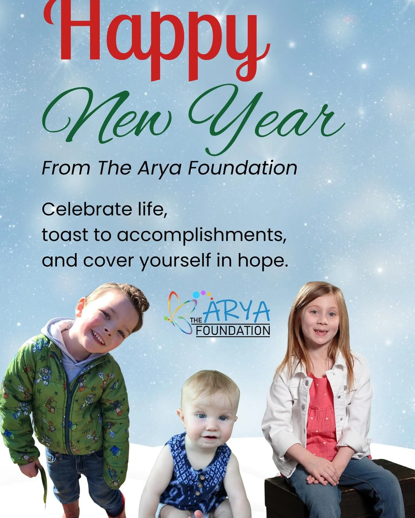 The Arya Foundation