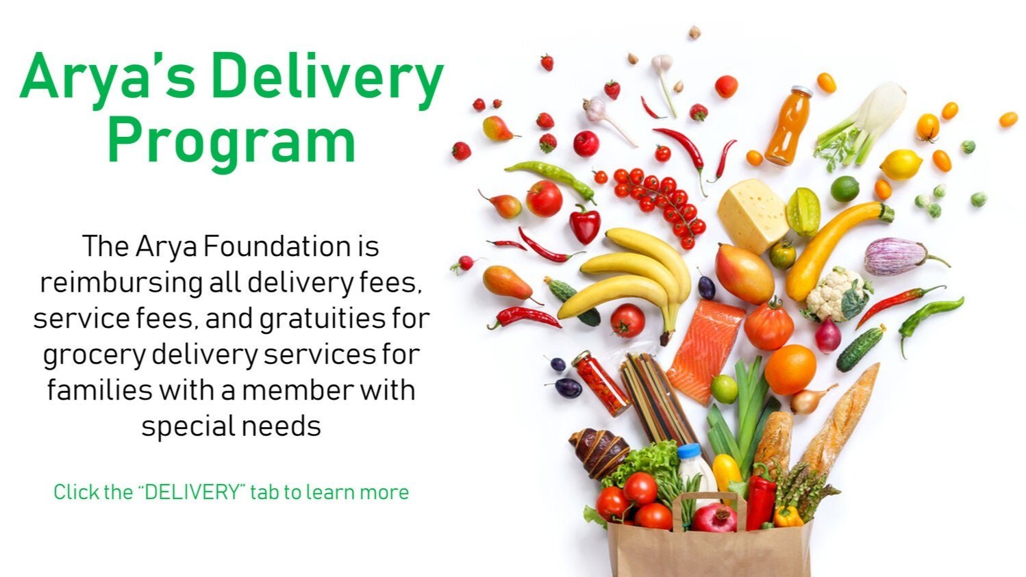 Programs — The Arya Foundation