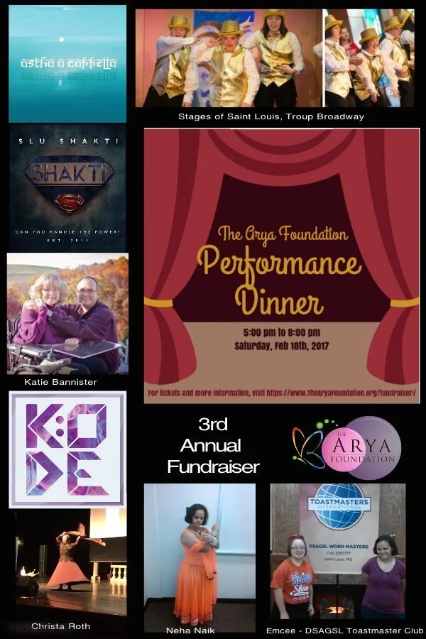 Fundraisers — The Arya Foundation