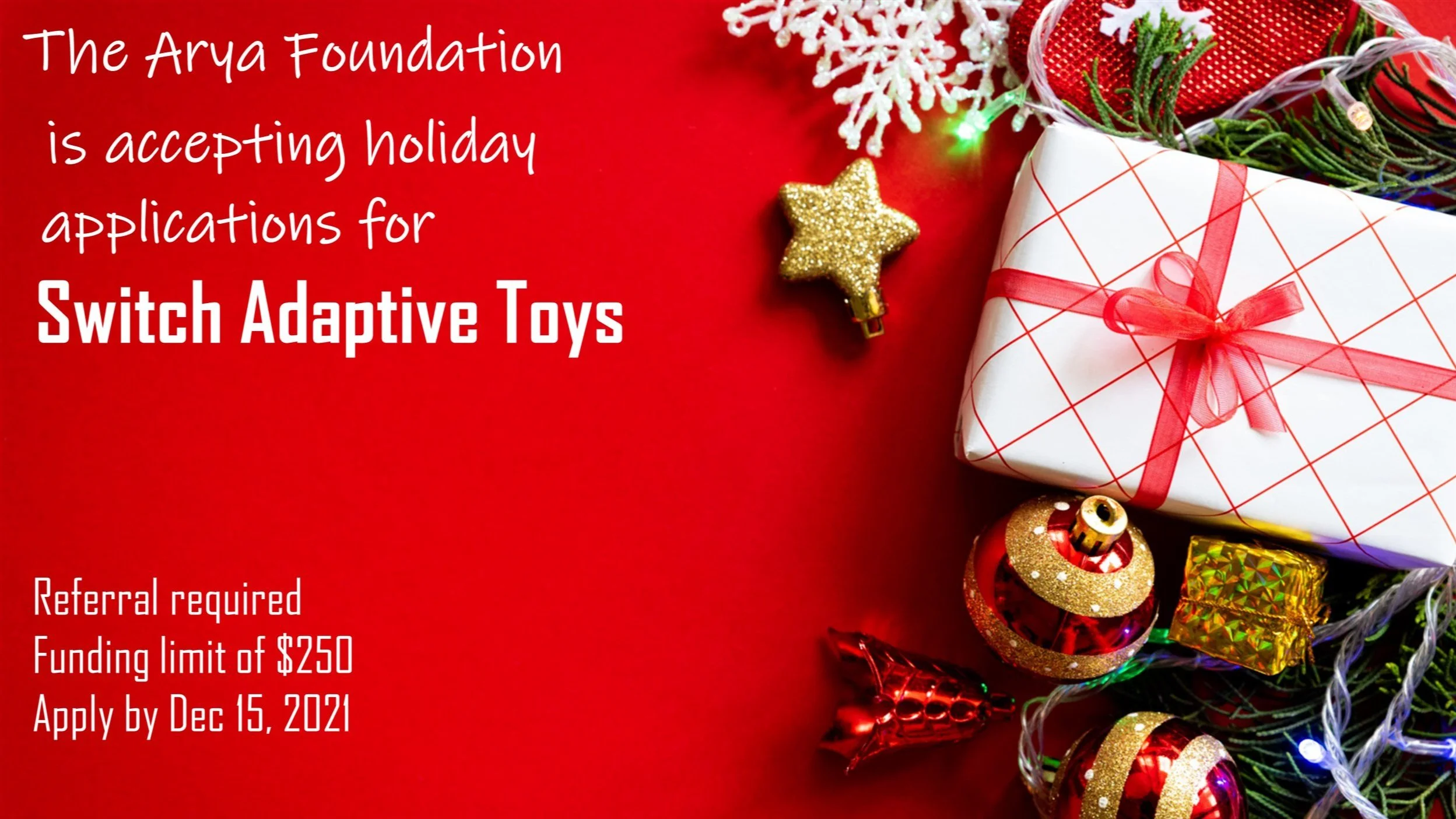 The Arya Foundation Adaptive Equipment Special needs autism disability ...