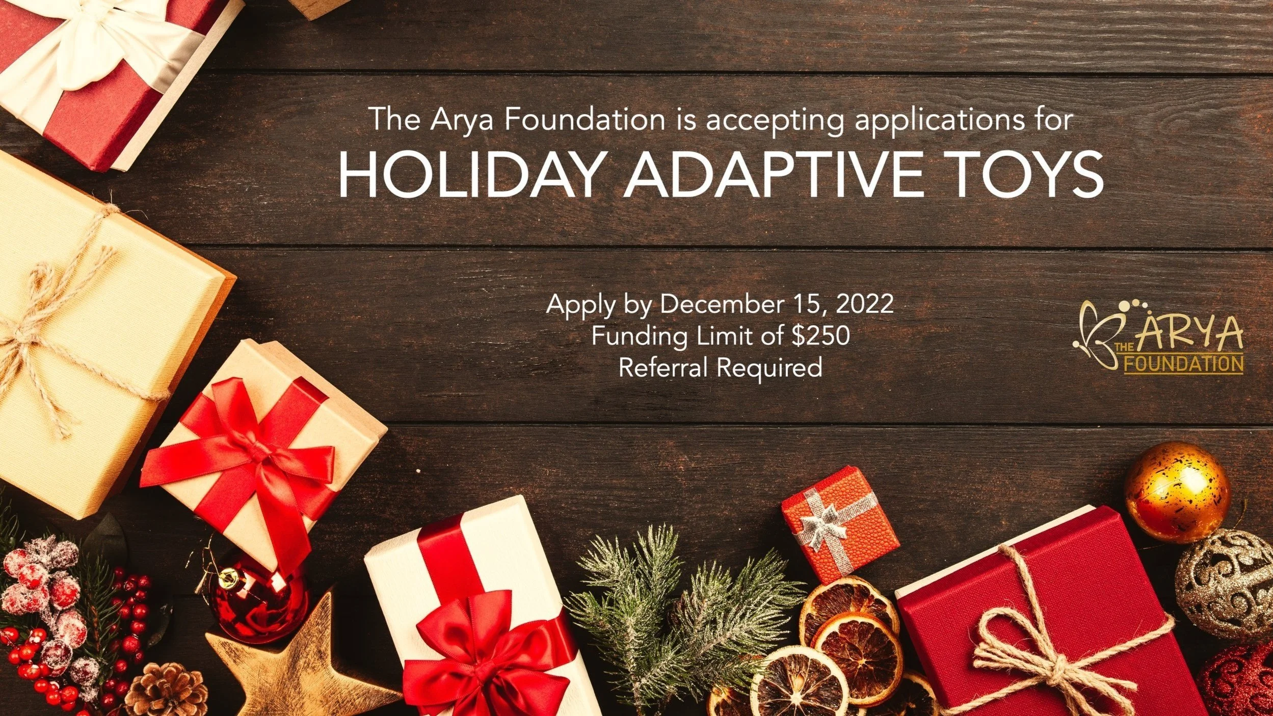 Programs — The Arya Foundation