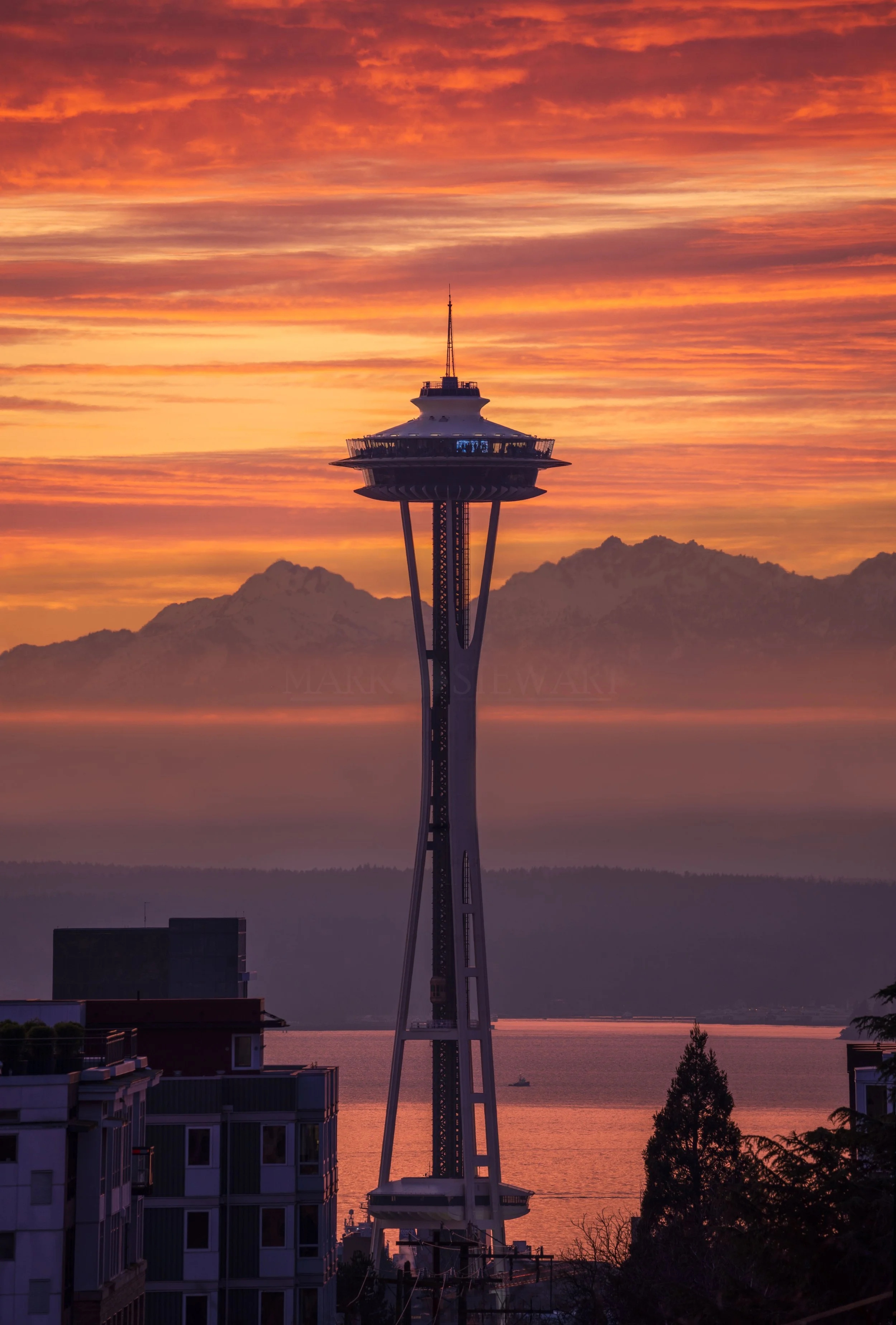 Rising — Mark Stewart Photography