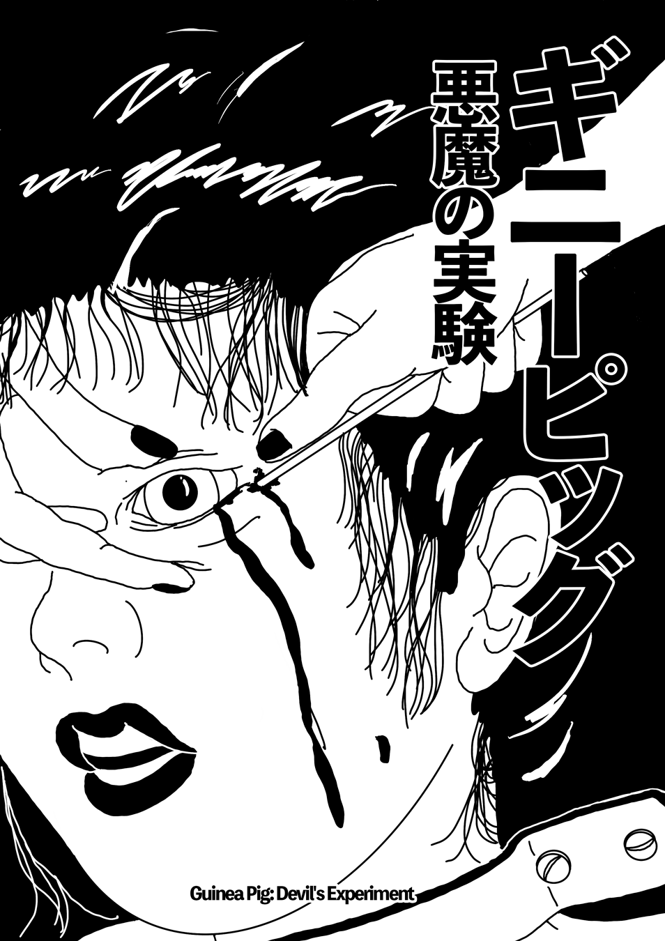 The Devils Experiment