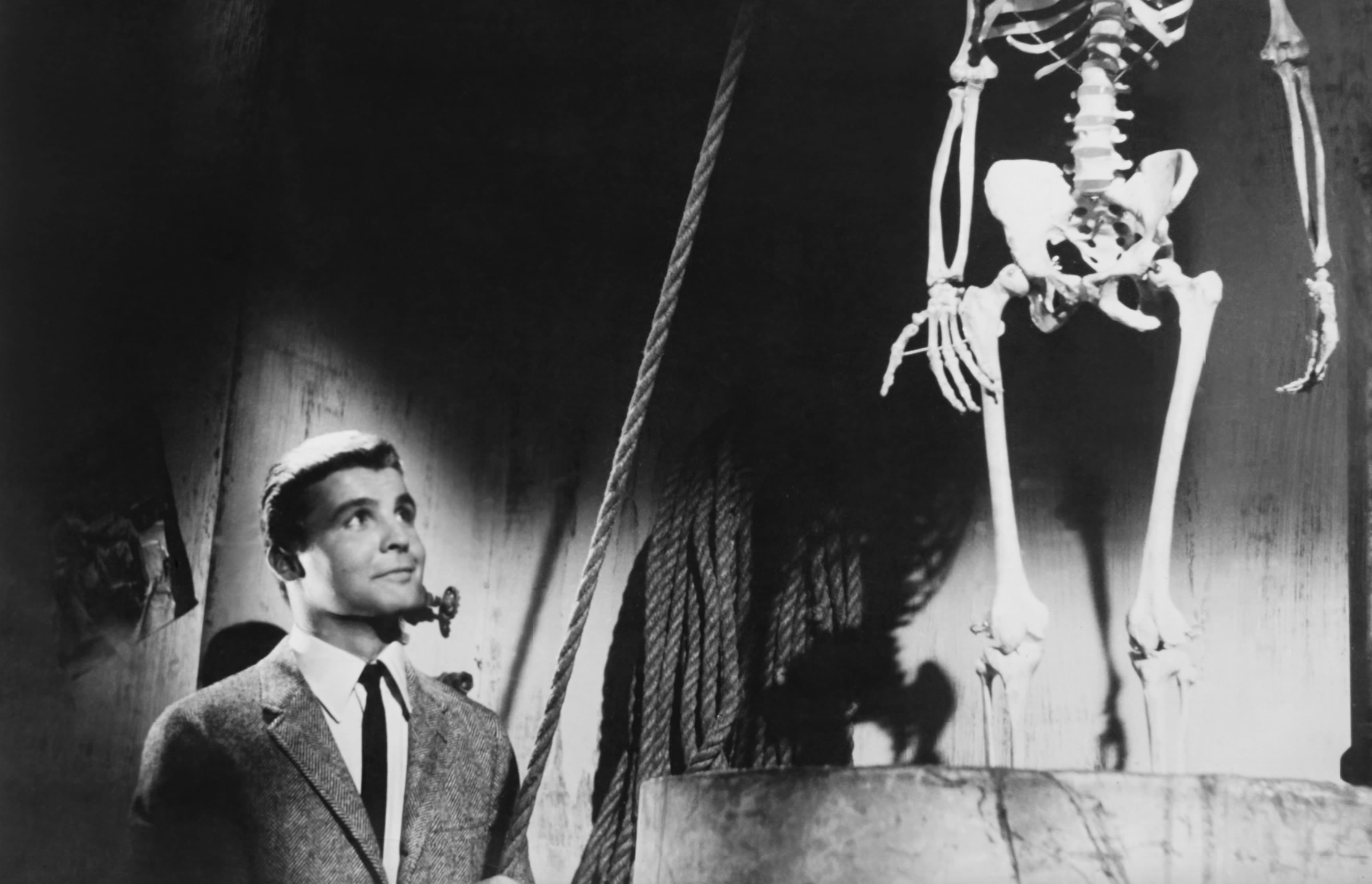 10 [TRASHY] CULT CLASSIC HORROR FILMS — MAGAZINE