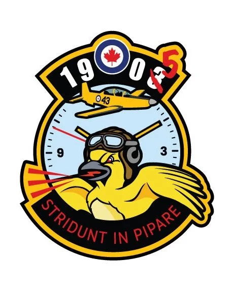 Flight Training Patch