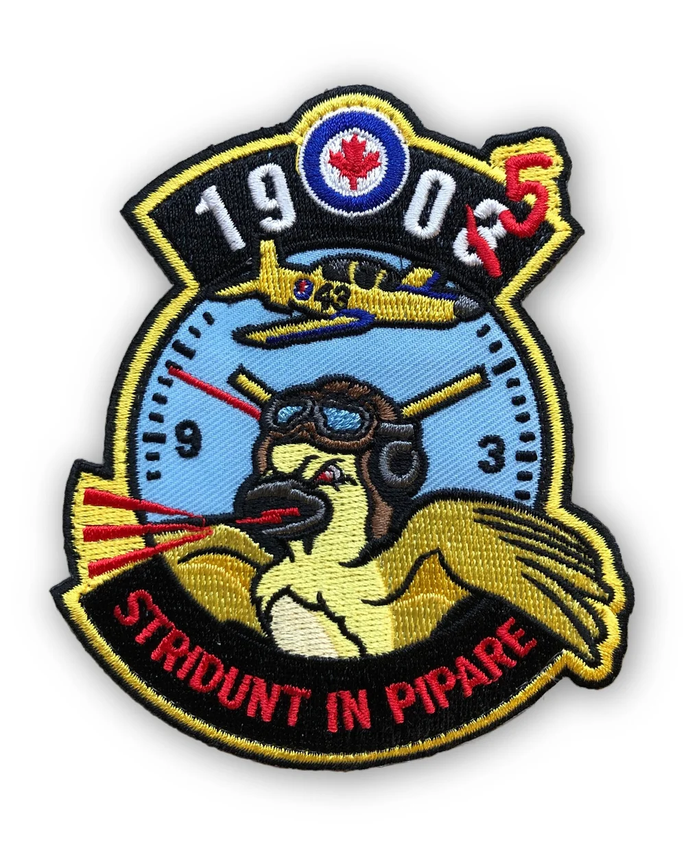 Flight Training Patch