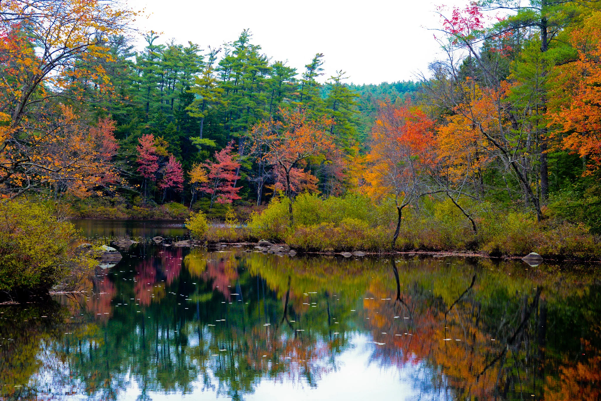 Chocorua Lake — Chocorua Lake Conservancy