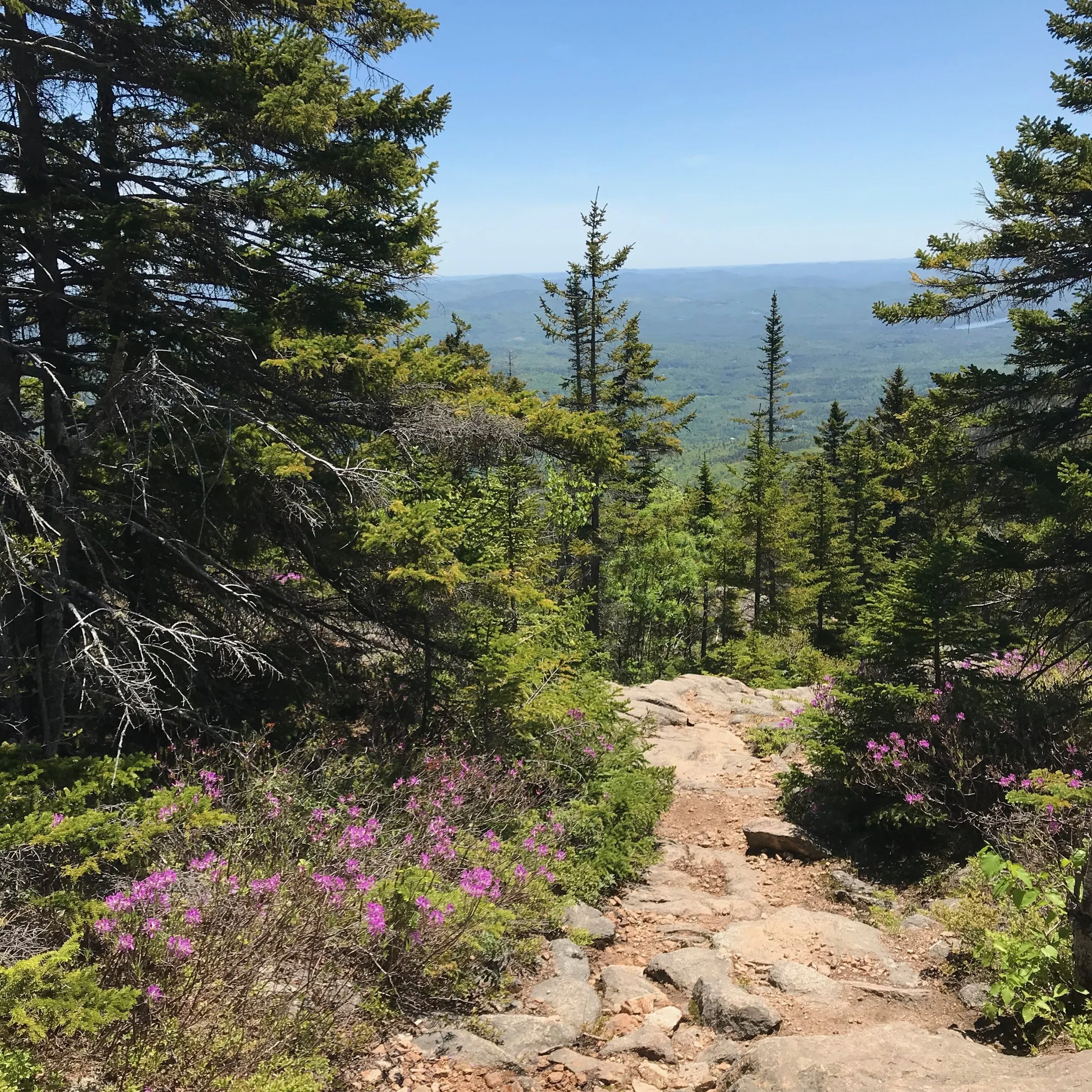 Hike Mount Chocorua — Chocorua Lake Conservancy